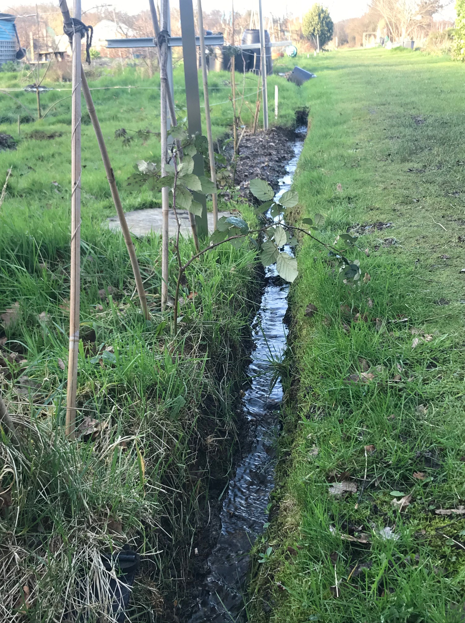 Rain, rain go away – the problems with saturated soil – Janice Shipp's ...