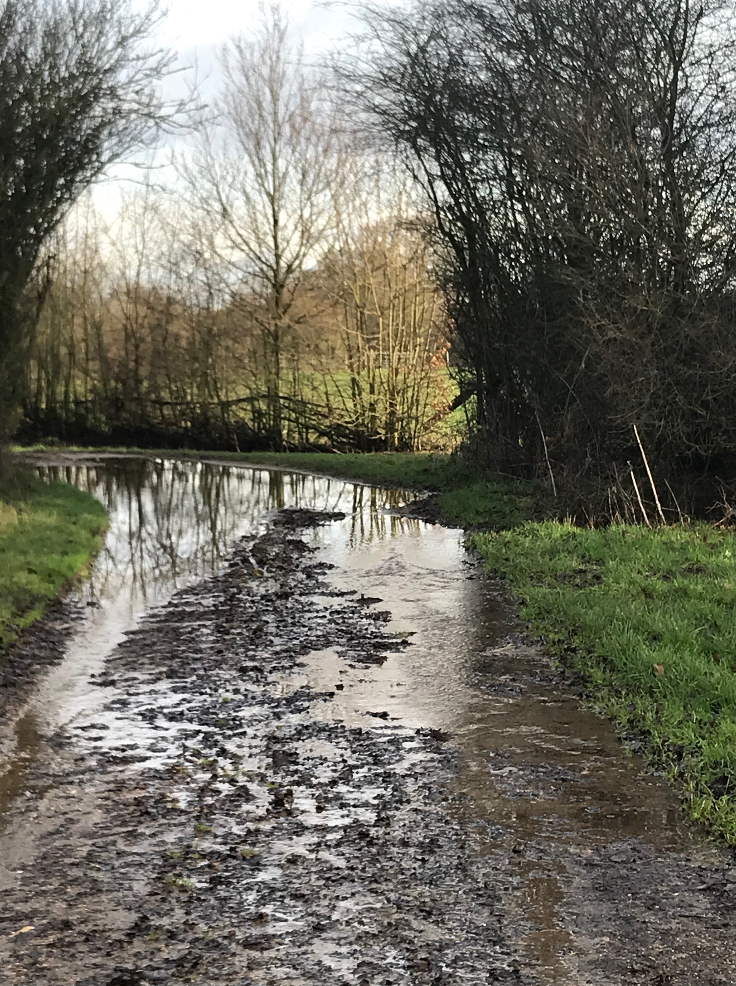Rain, rain go away – the problems with saturated soil – Janice Shipp's ...