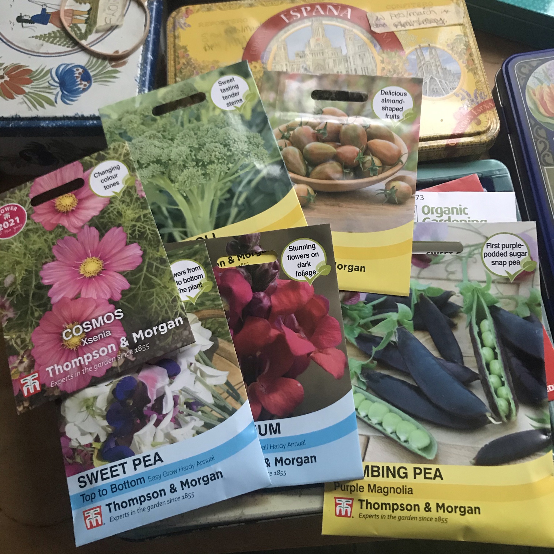 Vegetable seeds – the lure of the catalogue and what to sow when ...
